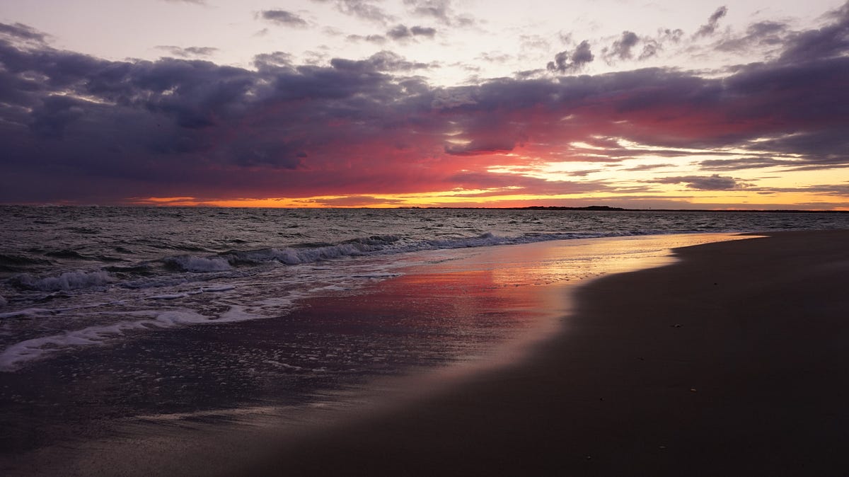 Using The Javascript Every Method To Determine If There Are Duplicate Elements In A Given Array 