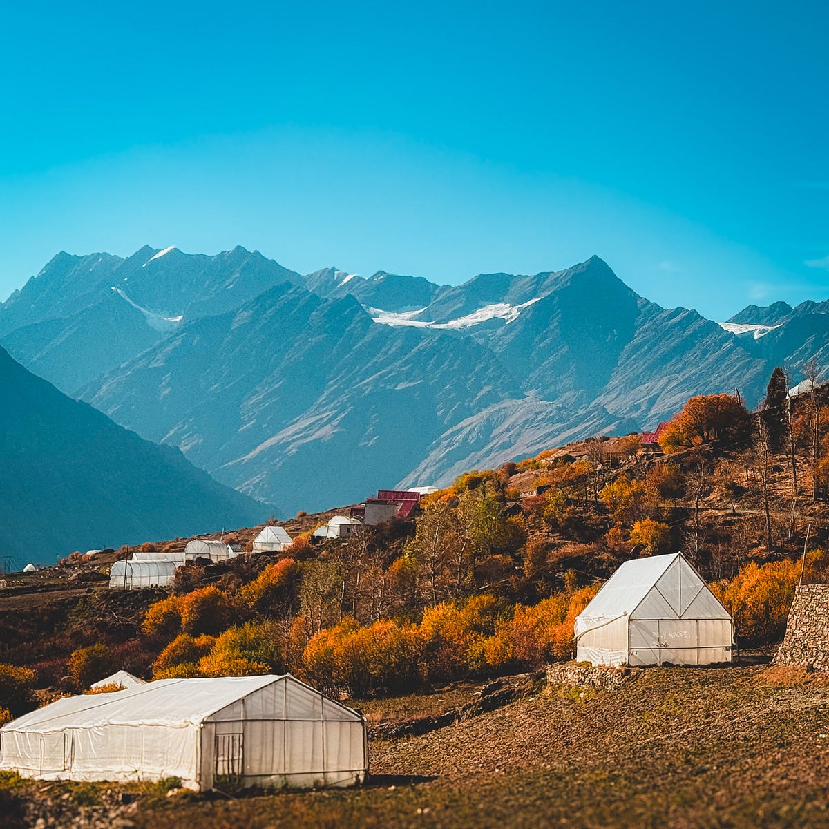 Shugu: The Land of Peace and Calm | by Shefali Chautala | Nov, 2024 ...