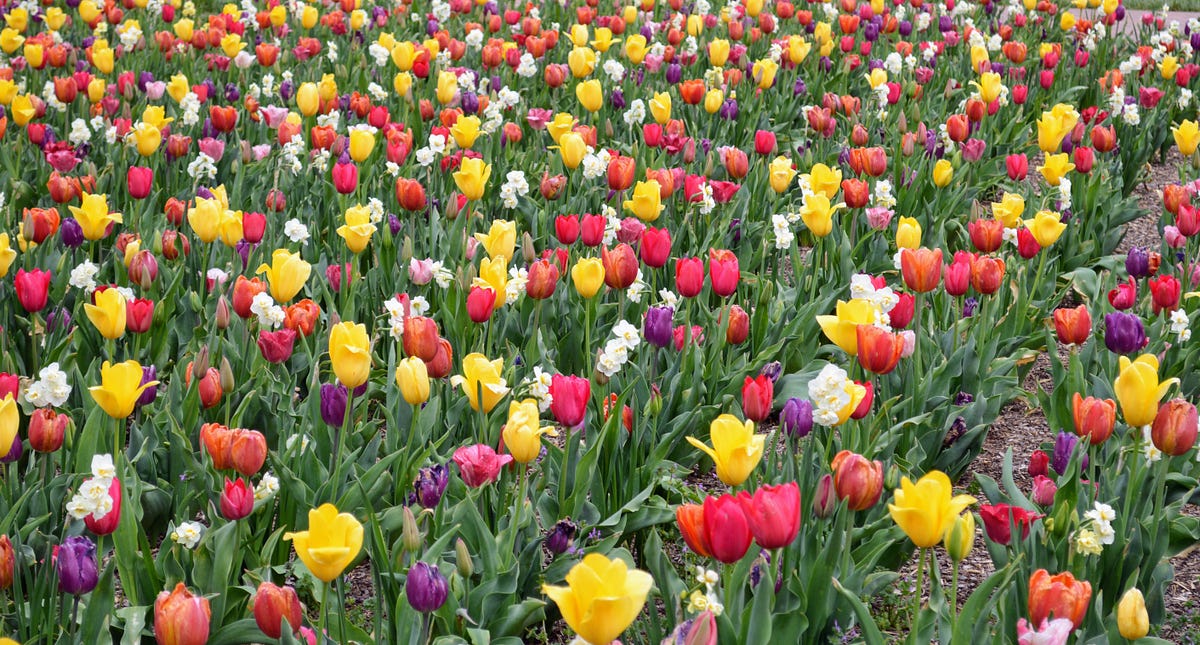 Don’t Try to Rearrange the Seasons - Rosette Rabess - Medium