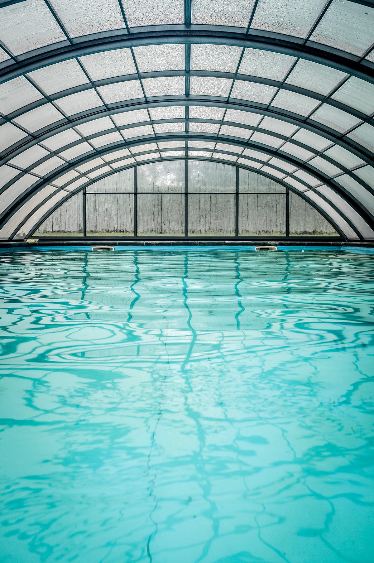 The High Dive. Daily Delight-April 27, 2023 | by Rebecca A. Barrett ...