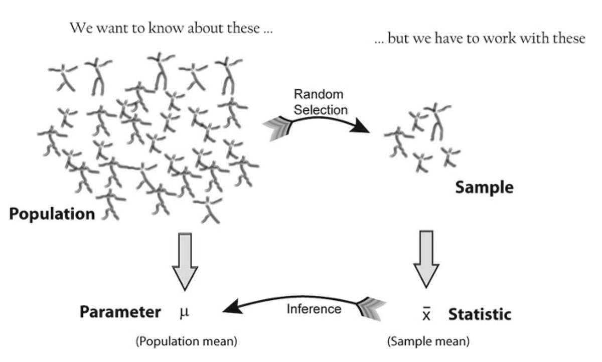 Python ile İstatistiğe Giriş — Nüfus, Örneklem, Veri Tipleri | by Ugur ...