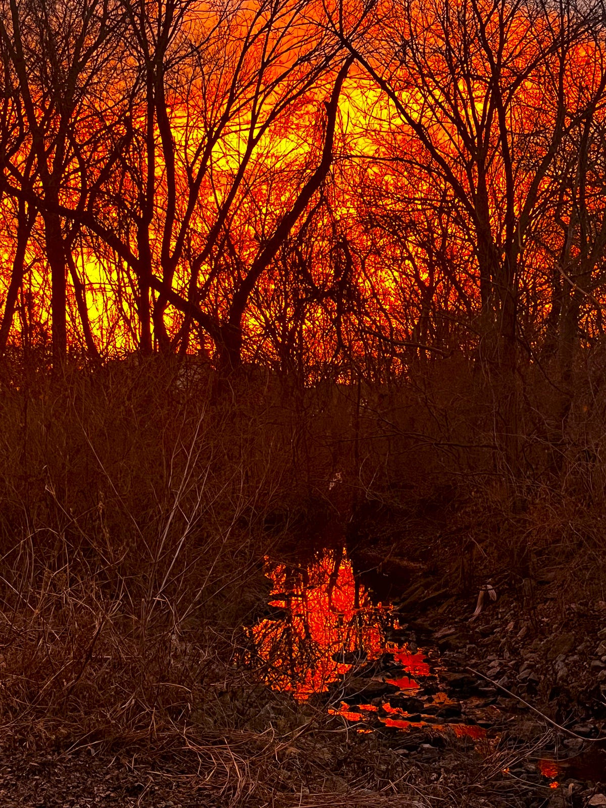 A Warm December Day Leaves a Midwest Creek Wondering What Season It Is ...