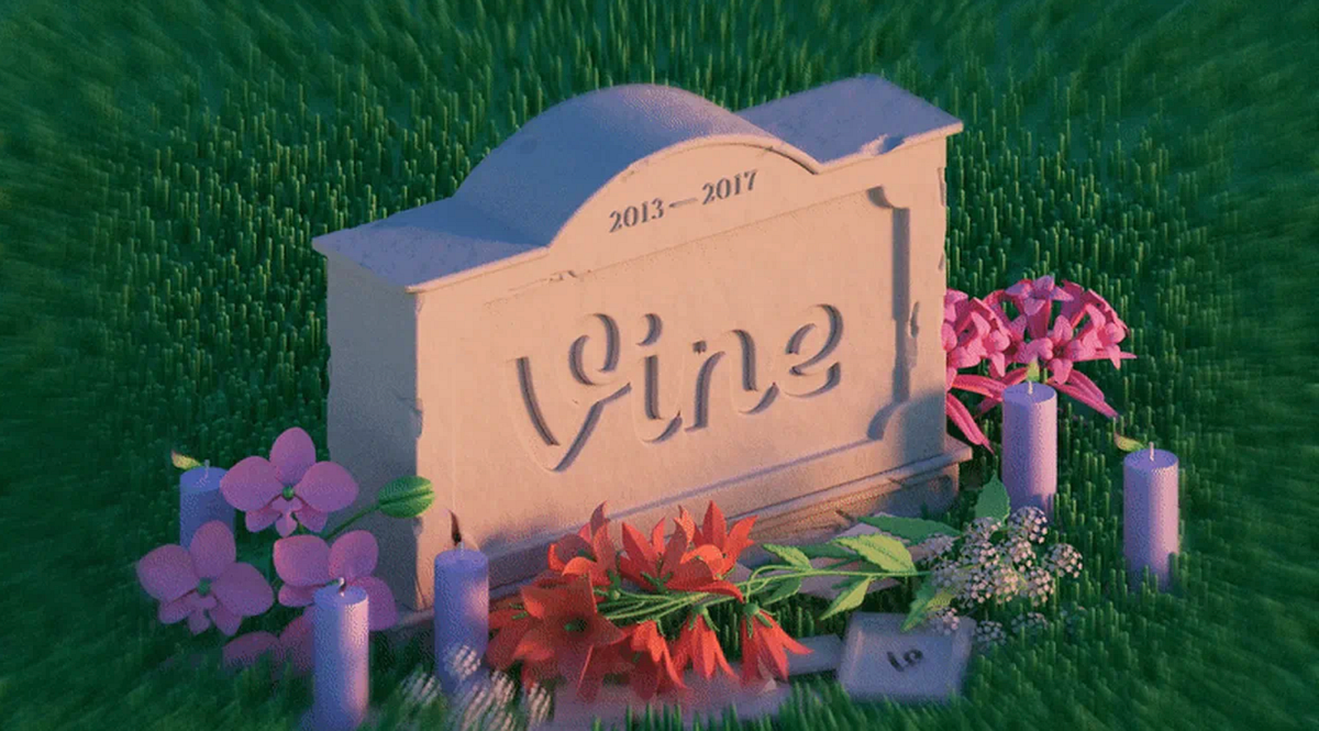 The Inspiring Vine. The creation of Vine allowed users to… | by Riley ...
