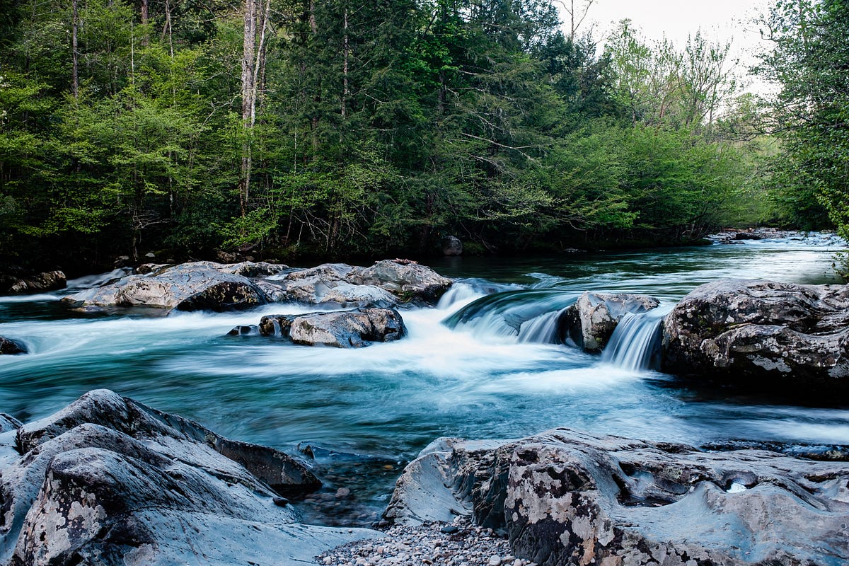 Top Ten (#6). Here is # 6. | by Tim Bindner | Medium