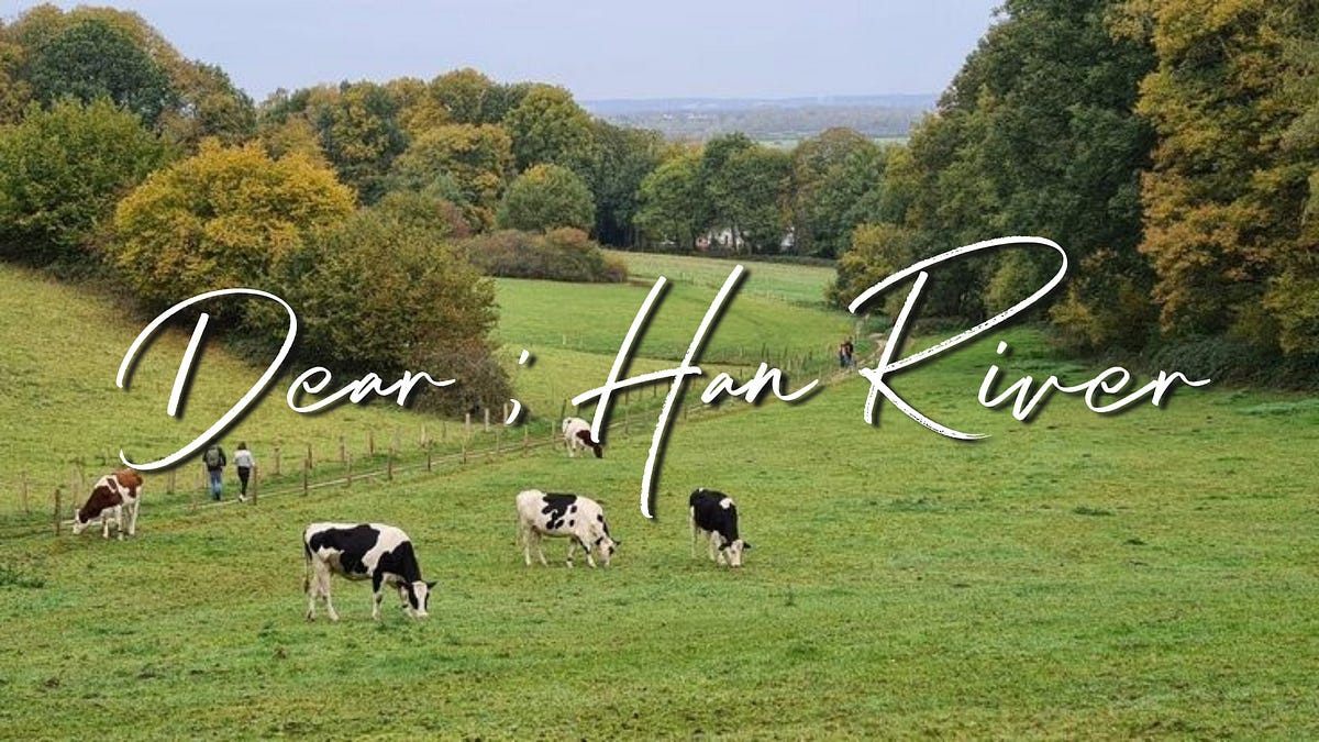 Dear ; Han River ( again) | by zaeyin | Medium