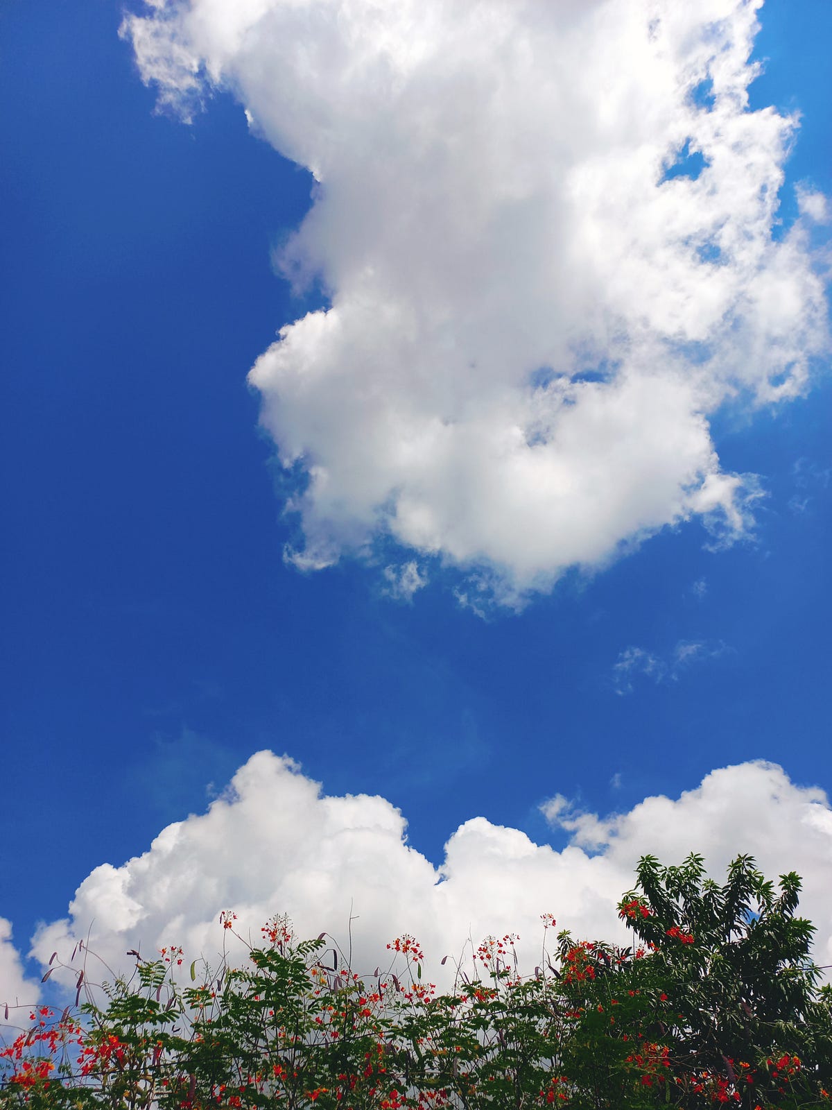 Logical reason behind why we snap a good Blue Sky besides for aesthetic ...