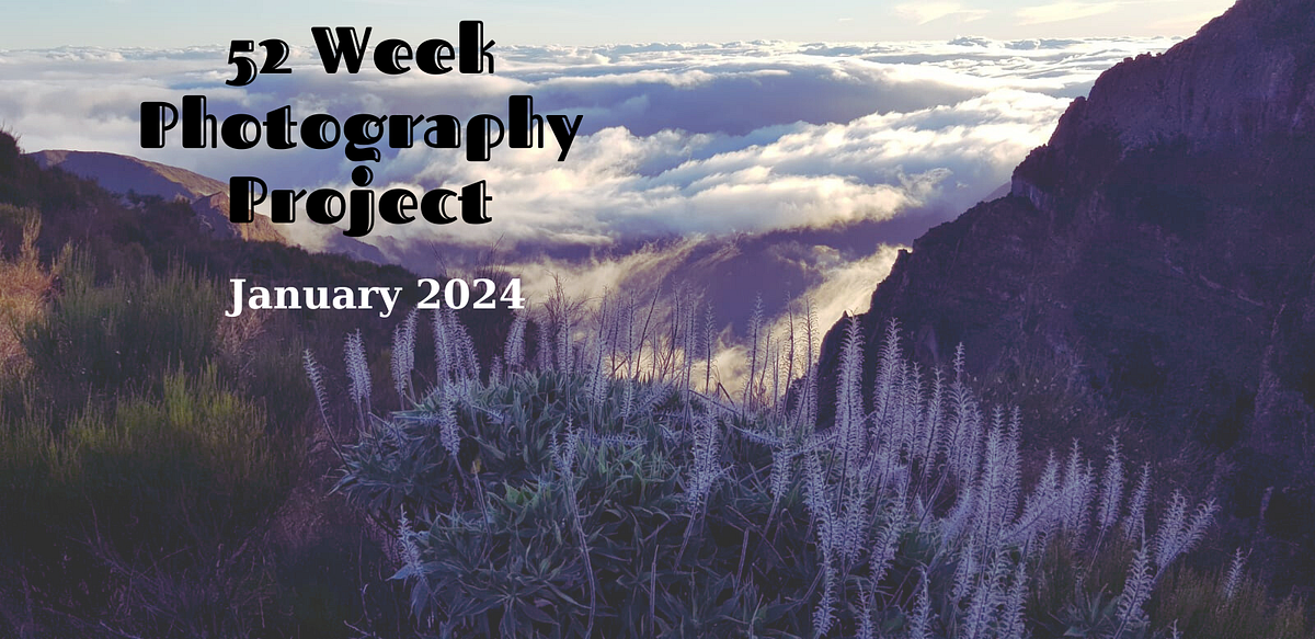 52 Week Photography Project. | Full Frame