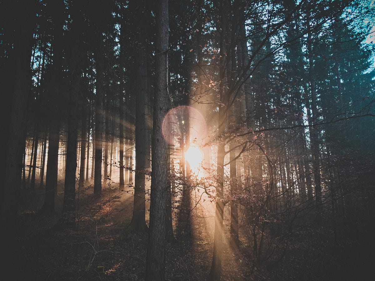 5 examples of how people use Unsplash collections | by Annie Spratt ...