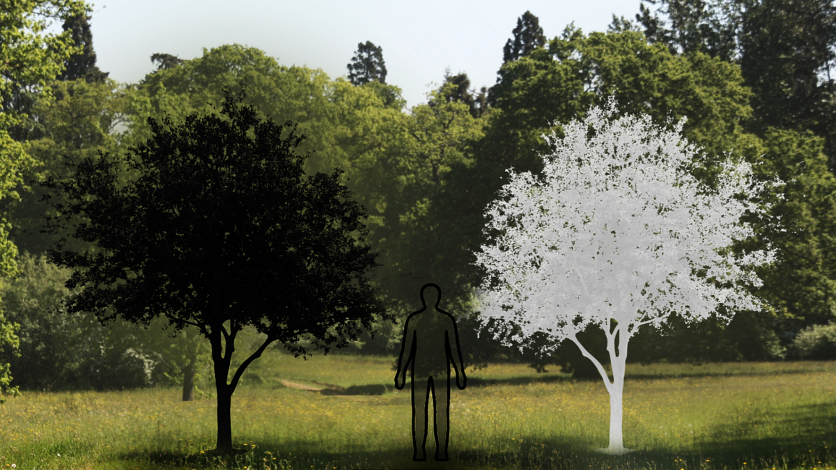 Trees in God's Garden and their Spiritual Significance to Man's ...