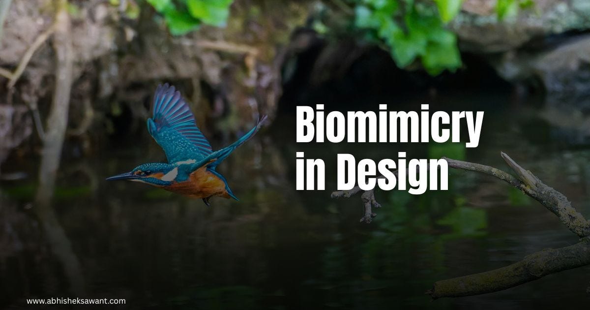 Biomimicry in Design: What Nature Can Teach Us About Innovation | by ...