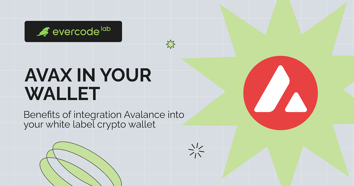 What is Avalanche? Should You Integrate It into Your White-Label Crypto ...