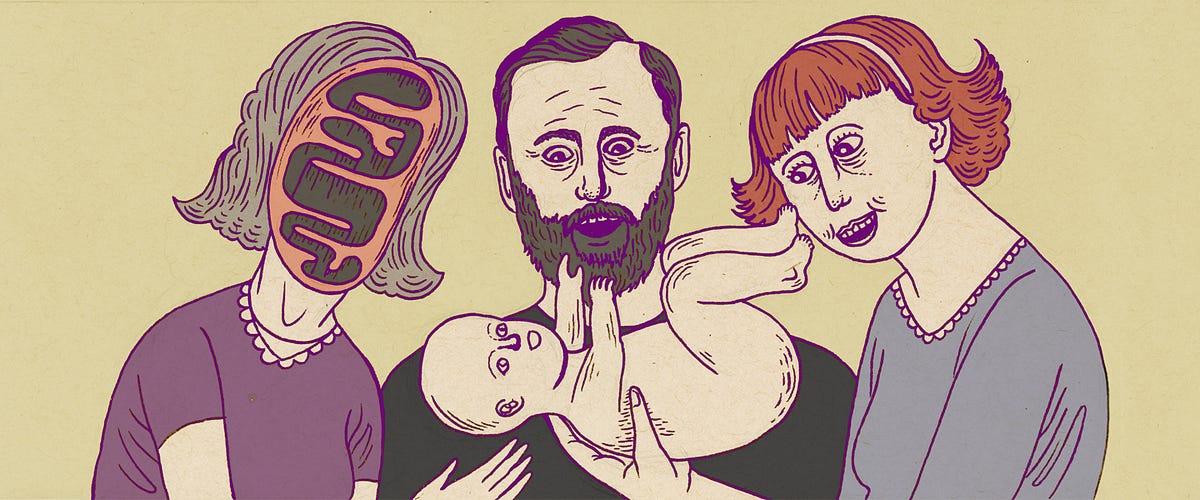 When Three Become One: The Ethical Dilemma of the ‘Three-Parent Baby ...