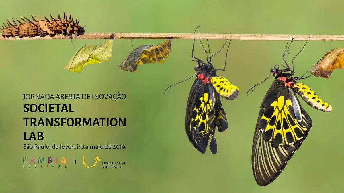 Tapping into Something Significant that Wants to Emerge | Field of the ...