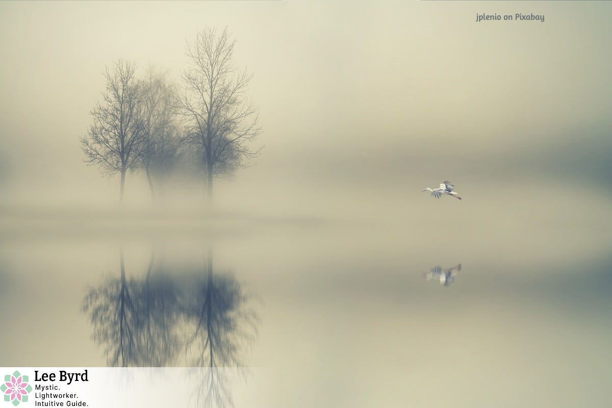 What Will Be Will Be. Lessons from the storm | by Lee Byrd | Soul ...
