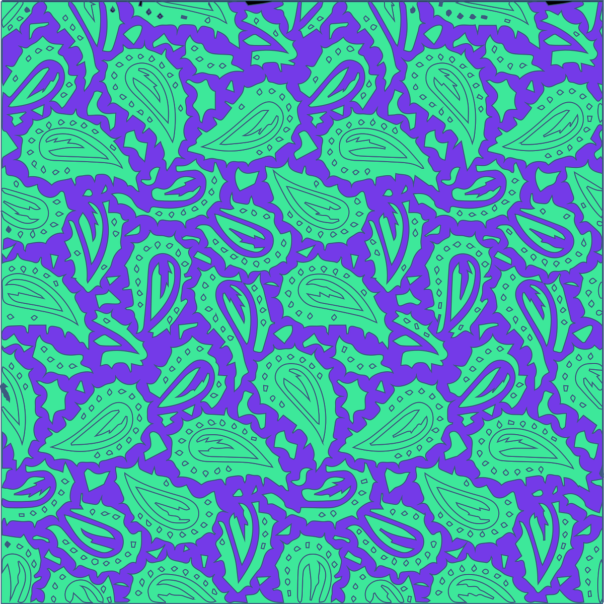 Paisley Pro - Riley Huston - Medium