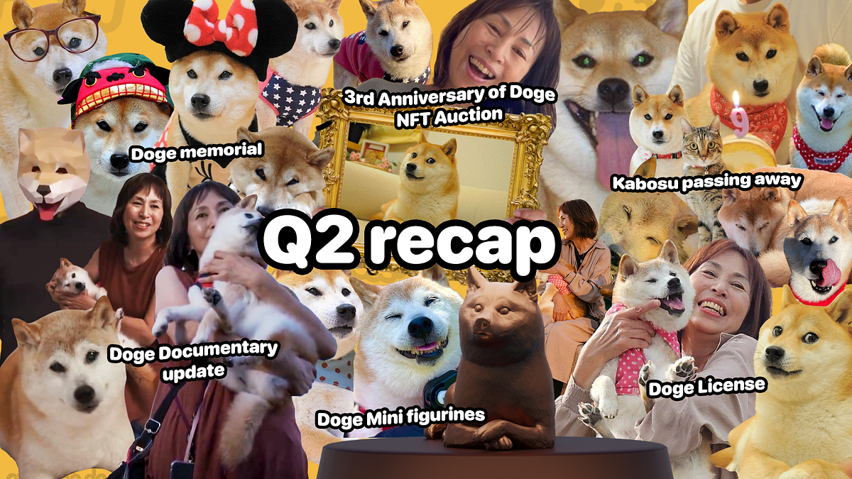 Q2 2024 Recap- Remembering Kabosu the Doge | Own The Doge