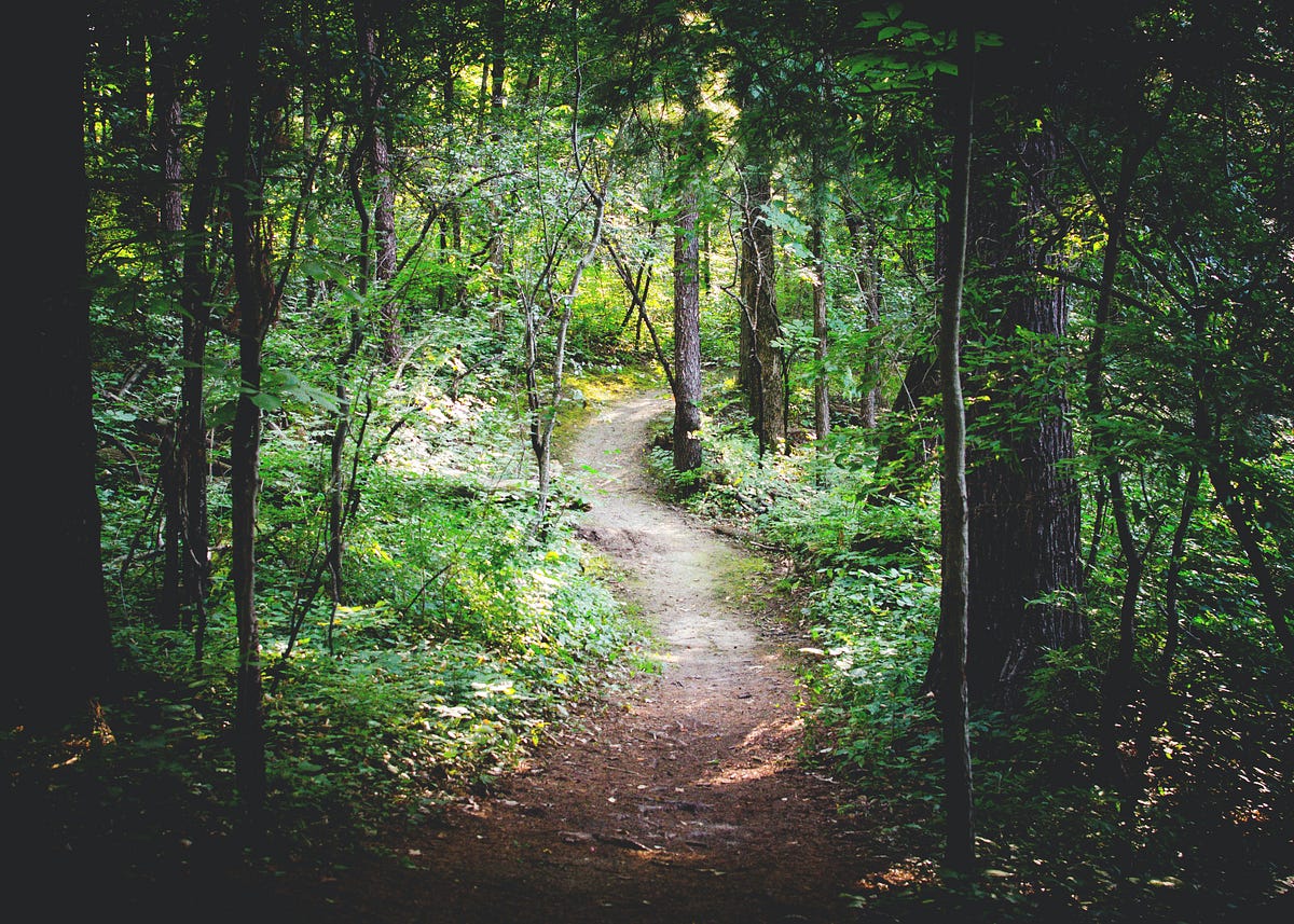 Medicine Woman. A poem about the meandering path of… | by Afiyah The ...