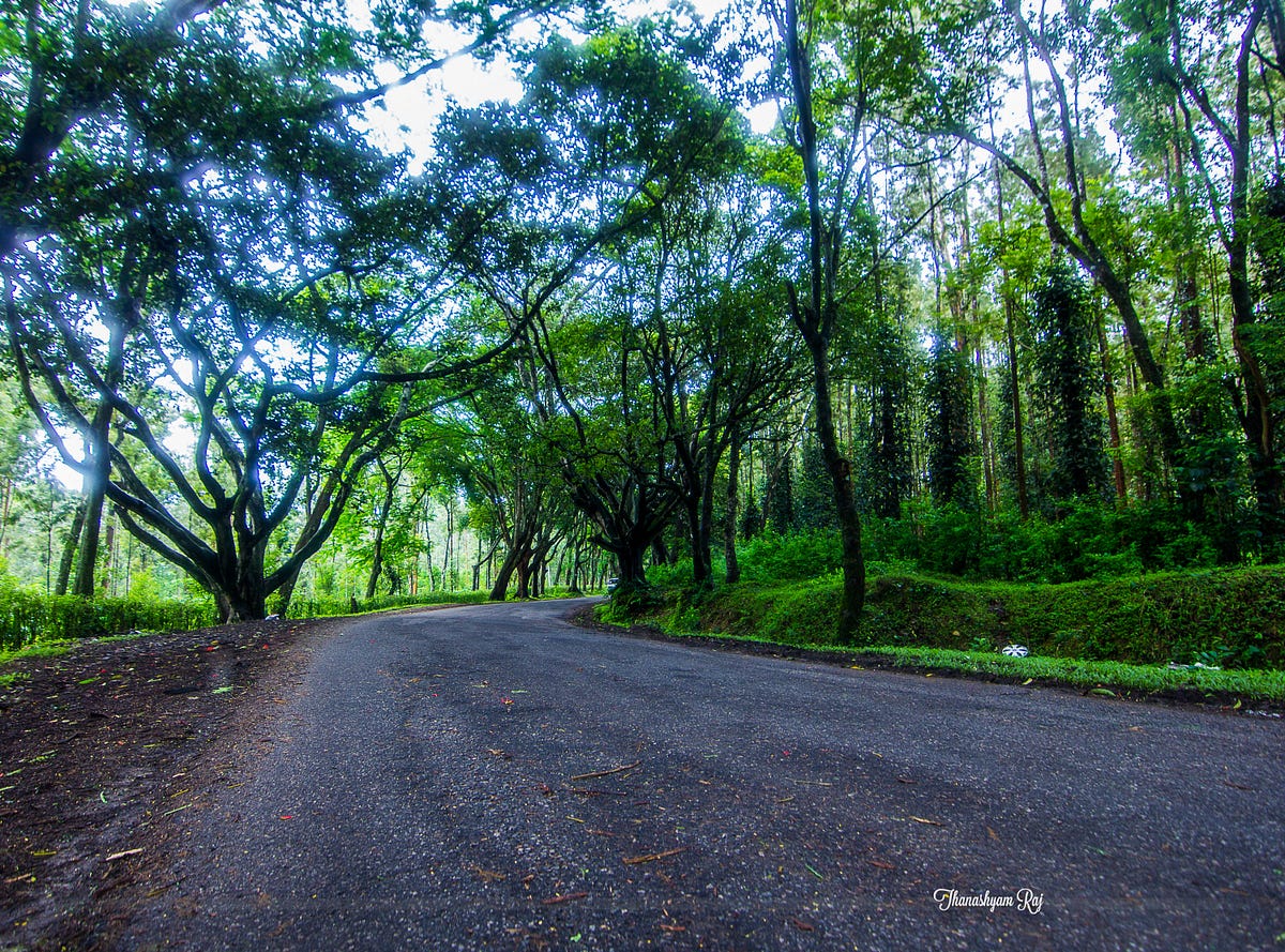 Malnad Monsoon Magic. Malnad is the rainy mountainous region… | by ...