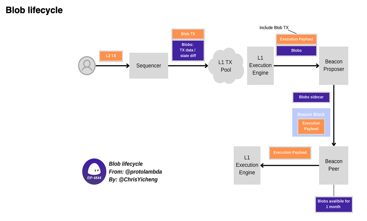 Blob Transaction Sending Tutorial + KZG explanation | by Vladislav Lenskii | Medium
