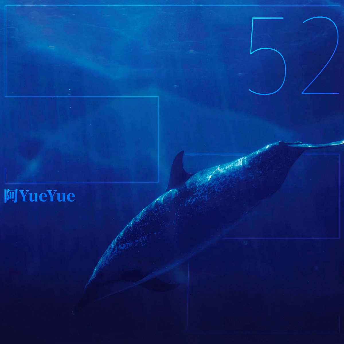 7six9 X Netease Music - MQL (MiraQle) Coin - Medium