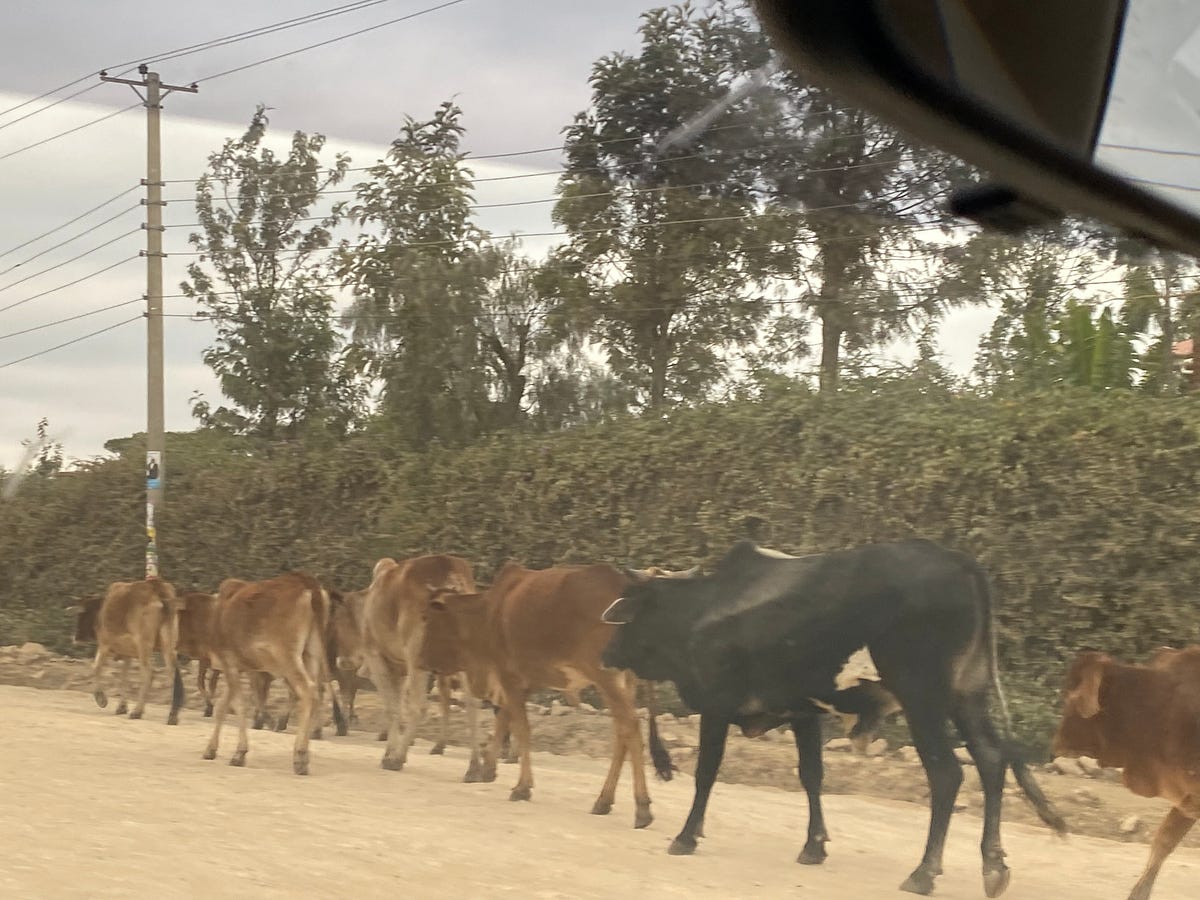 Clause-by-clause summary breakdown of the Livestock Protection and ...