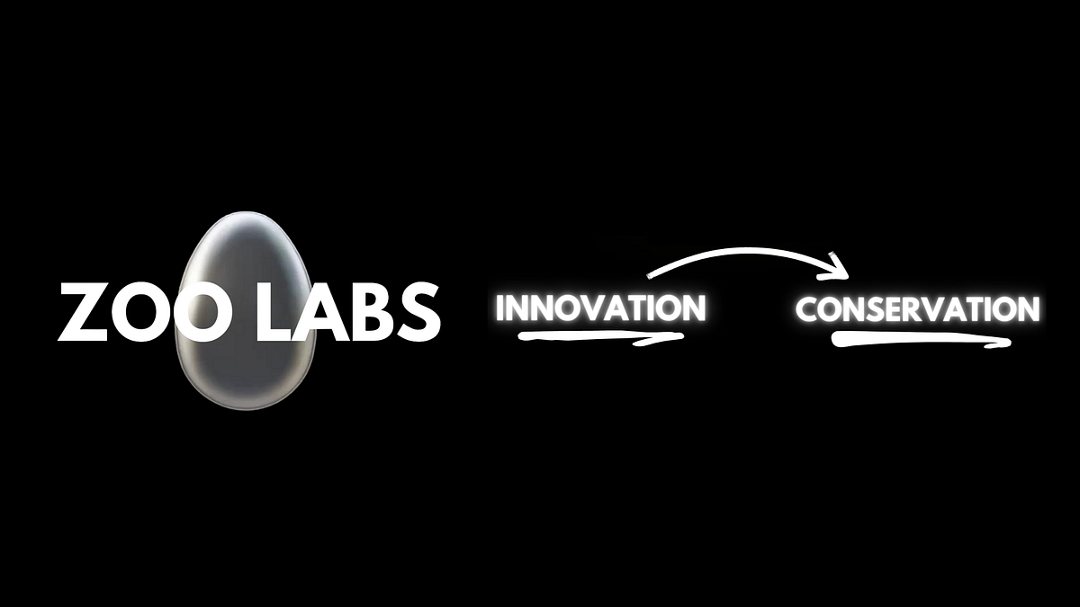 Introducing - Zoo Labs: Wildlife Conservation Powered by DeFi | by Zoo ...
