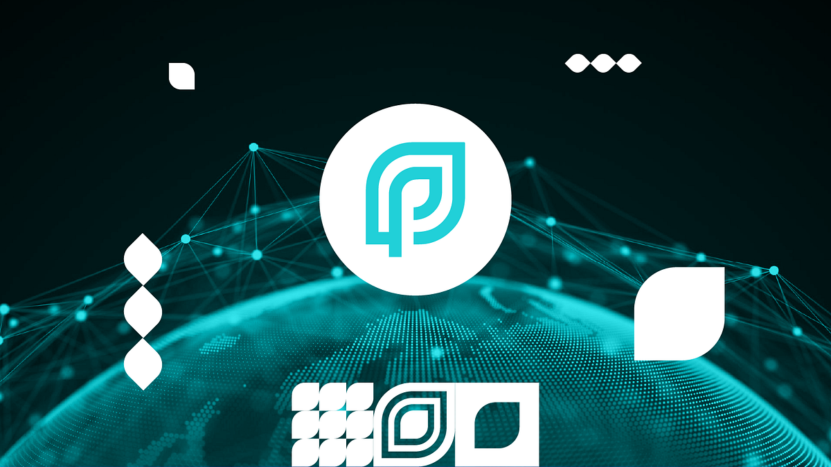 Scalability and Liquidity of PEM Coins! | by Pemcoin | Jul, 2024 | Medium