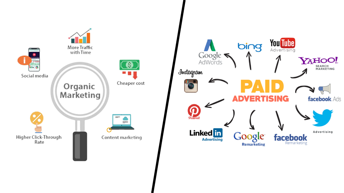 Behind the Numbers: The Cost Breakdown of Organic vs. Paid Growth ...