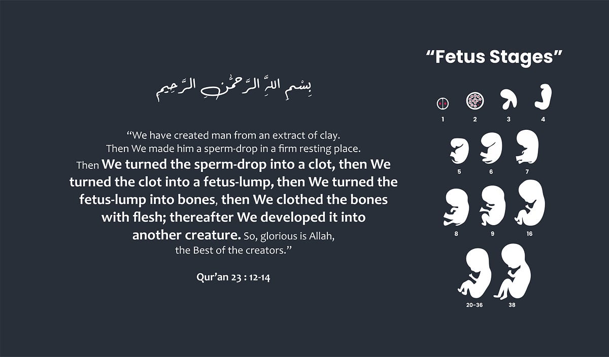 Fetus Stages in Quran.. Quran explained the stages of the Fetus… | by ...