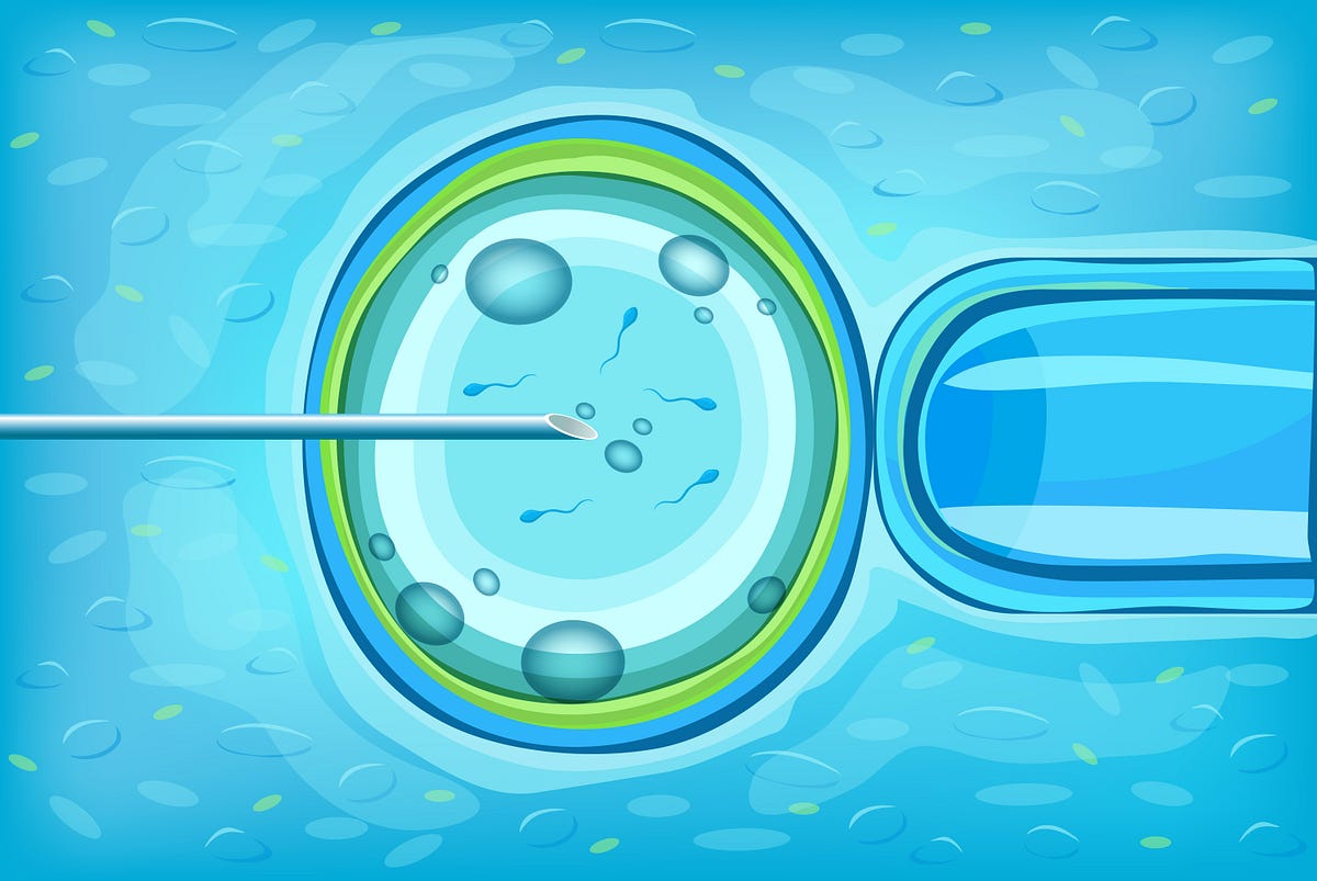 Understanding ICSI, IMSI, and PICSI Treatments for Infertility | by IVF ...