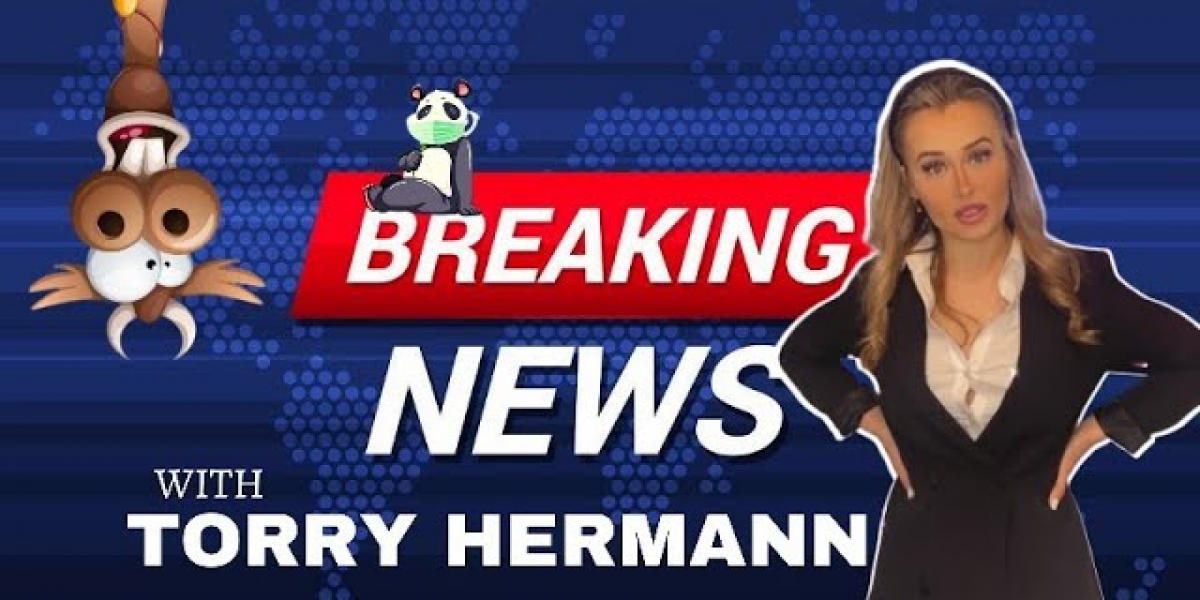 A Bold Request for One Dollar From Every Fan: Torry Hermann’s Million ...