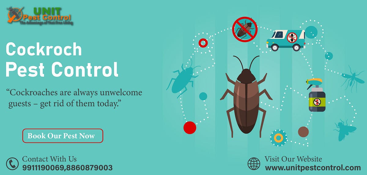 Cockroach Control and Treatment Process | by Unitpestcontrol | Medium