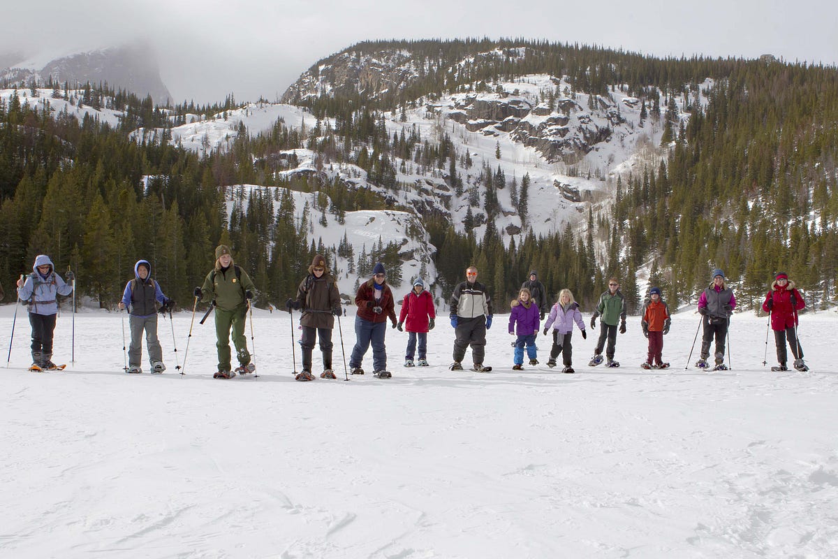 10 amazing winter recreation ideas | by Laura Bailey | Our Wild | Medium