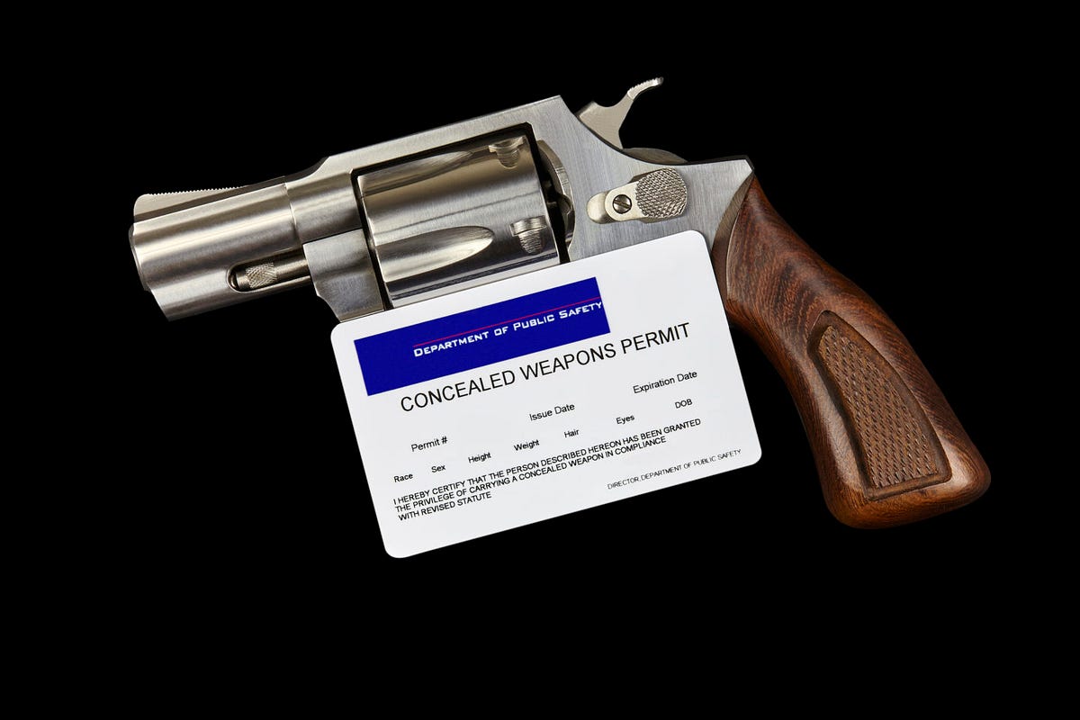 How to Obtain a Gun License in East Meadow | by Viridis Lux Enterprises ...