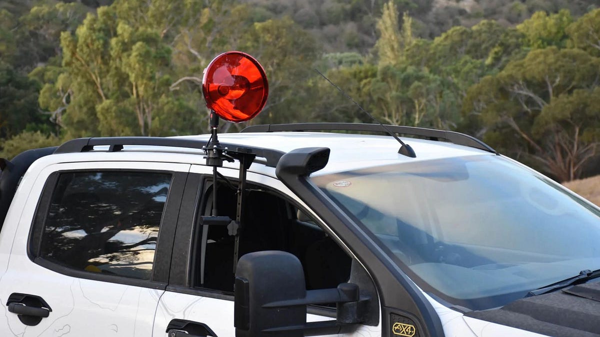 Illuminating the Hunt Understanding the Vital Role of Brightness in ...