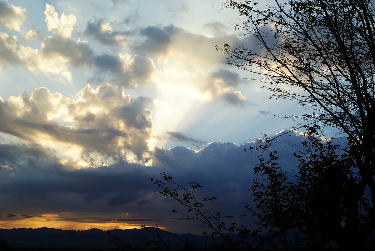 “The Real Problem”. The past few years have made a great… | by Jared ...