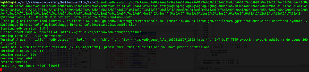 Linux — Buffer Overflows. A simple C program was for… | by Sigkilla | Medium