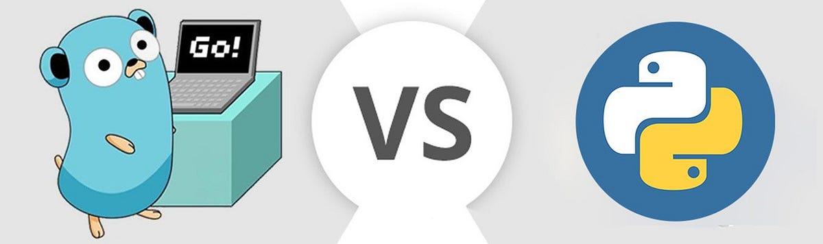 Types in GO and Python. Despite of other properties programming… | by ...