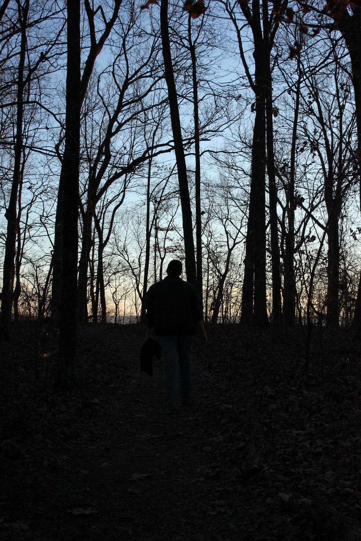 Blink. Poem by Bête | by Beth Hatton | Feb, 2024 | Medium