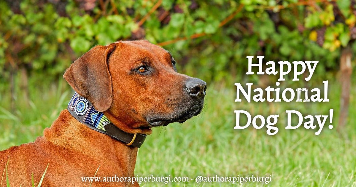 Happy National Dog Day!. The 26th of August is National Dog Day… | by ...