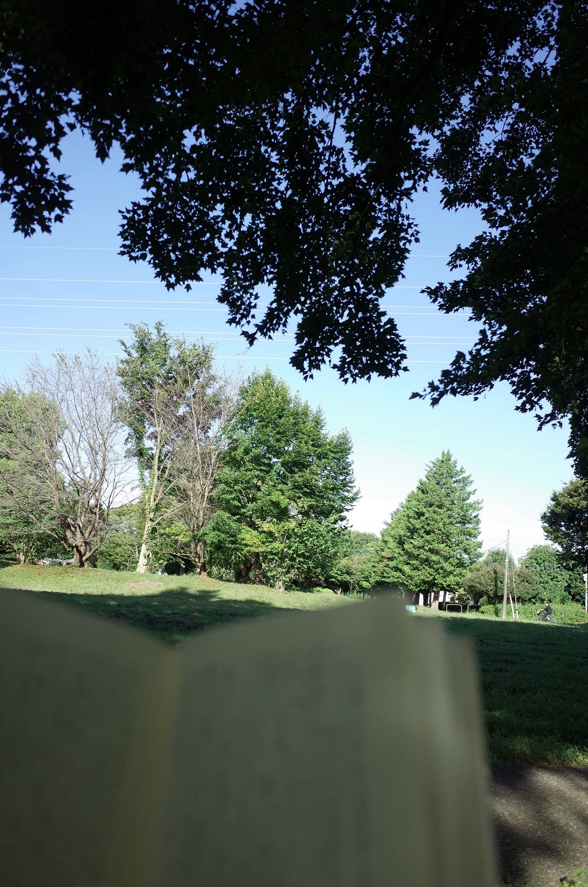 Pretty Little Things 1 - Chihiro Sava - Medium