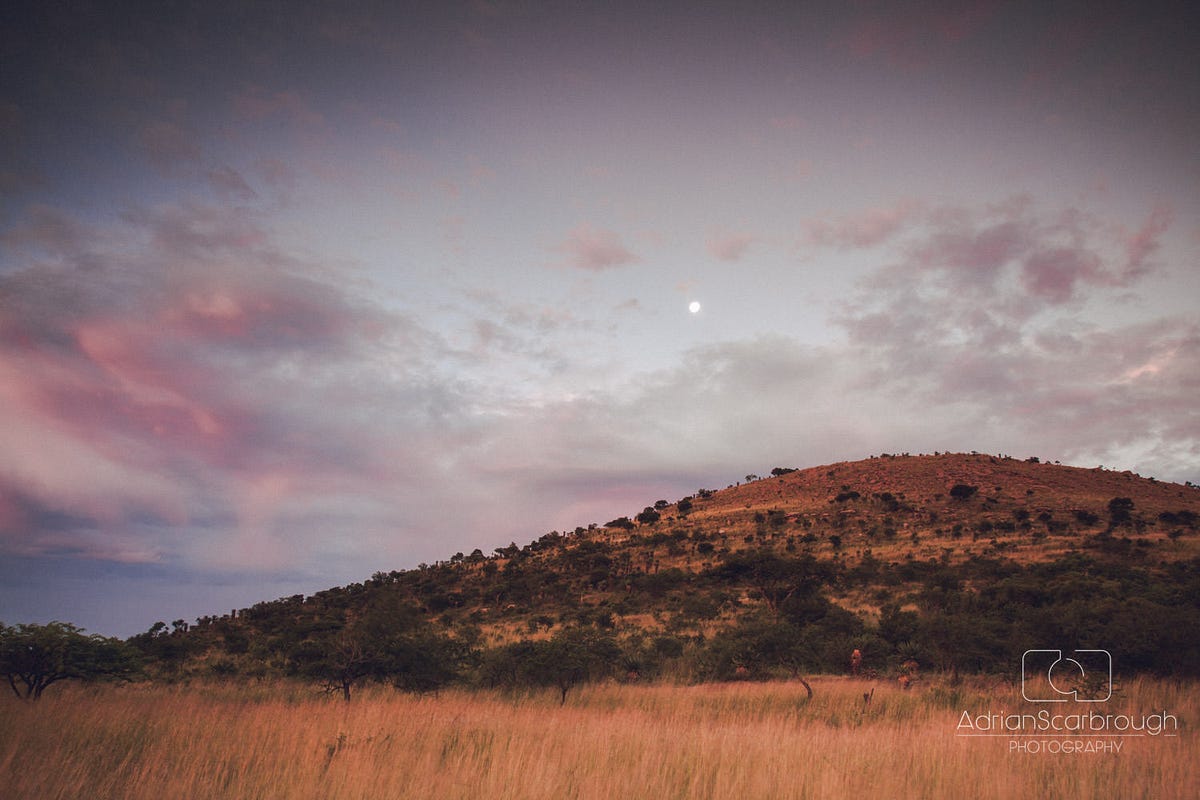 The Day Of The Dead Moon. 137 years ago today and immortalised… | by ...