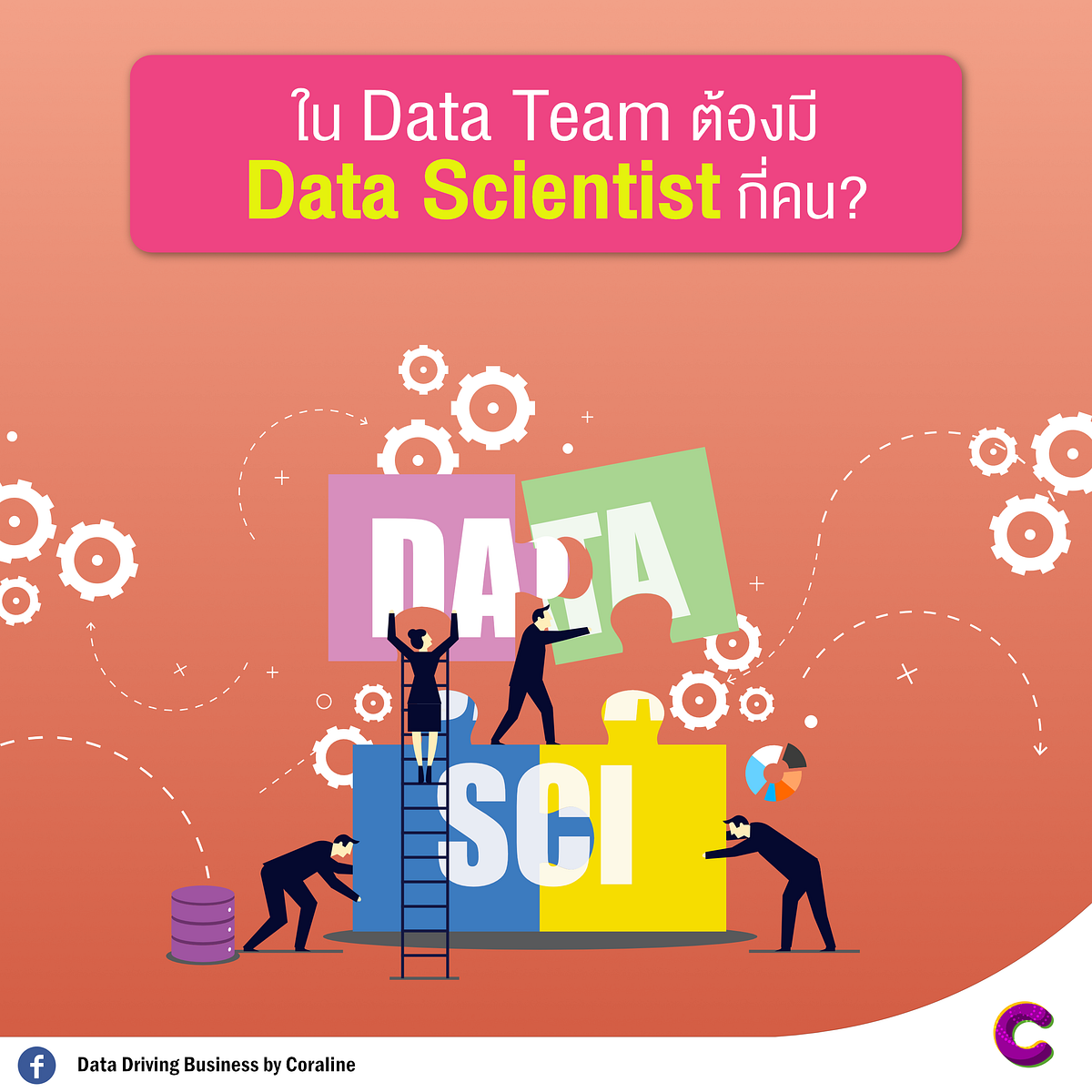 Data Team ต้องมี Data Scientist กี่คน?? | by CORALINE CO. LTD | Medium