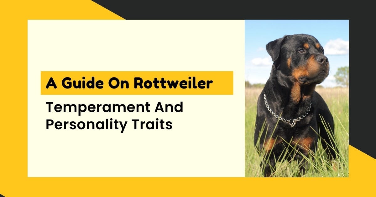 A Guide On Rottweiler Temperament And Personality Traits - Vom Hause ...