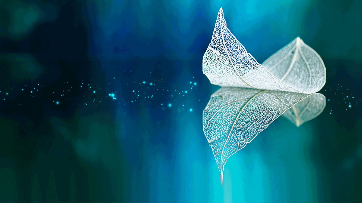 5 Pillars of Powerful Self-Reflection | by Marcie Boyer | Medium