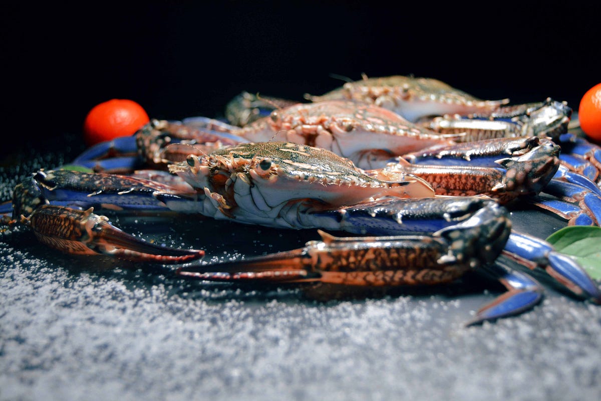 Crabs Crabbing: Tips on How to Catch These Shellfish Pinchers | by ...