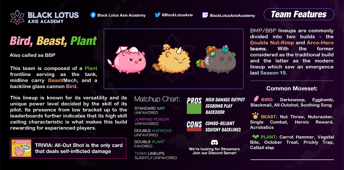 Axie Infinity BBP Team Feature - Ravince T. Cervantes - Medium