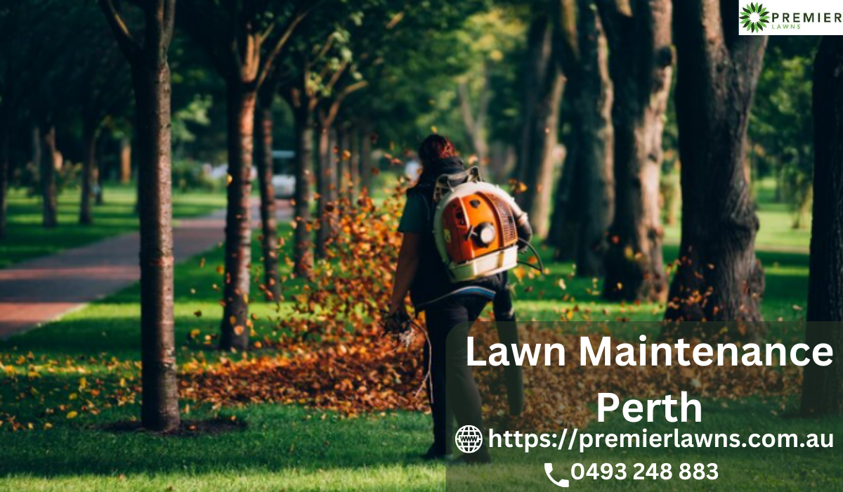 Premier Lawns: Your Ultimate Choice for Lawn Maintenance in Perth | by ...