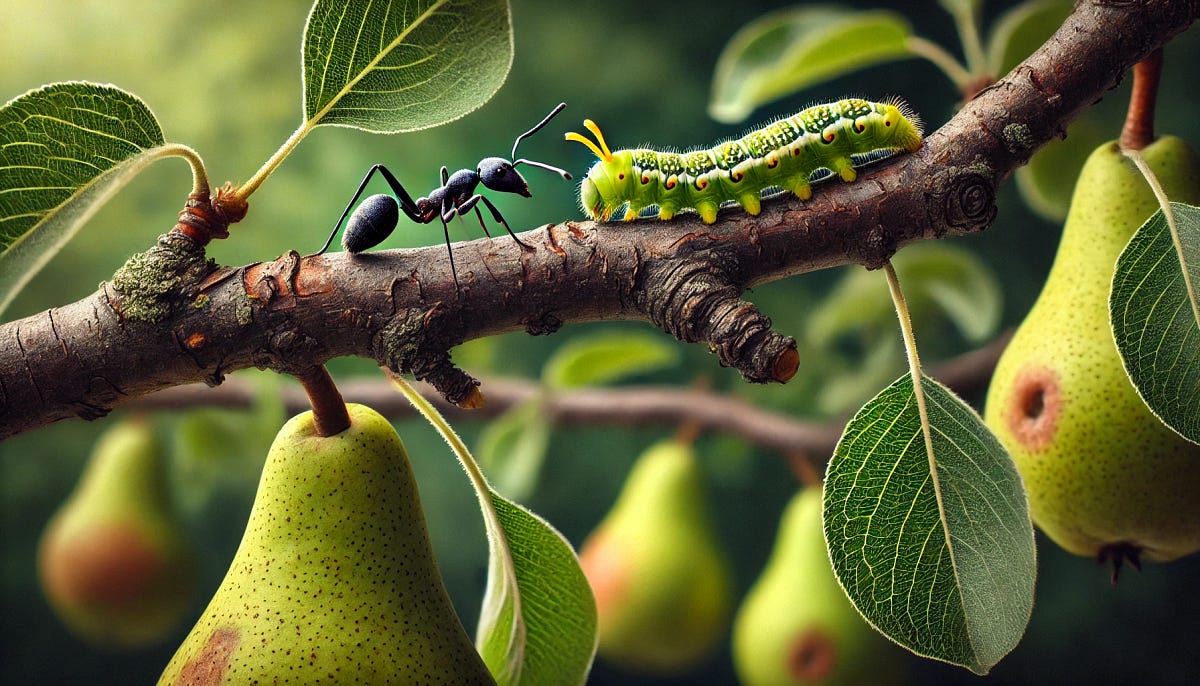 The Adventures of Ollie the Ant. Eat first insult later should always ...