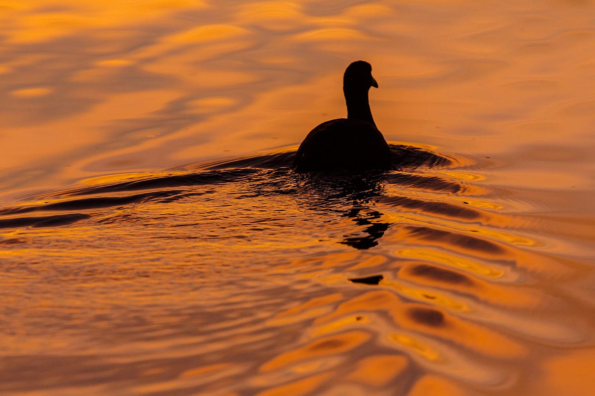 Panhandle Justice Goes DIY. In the remote reaches of the Oklahoma… | by ...